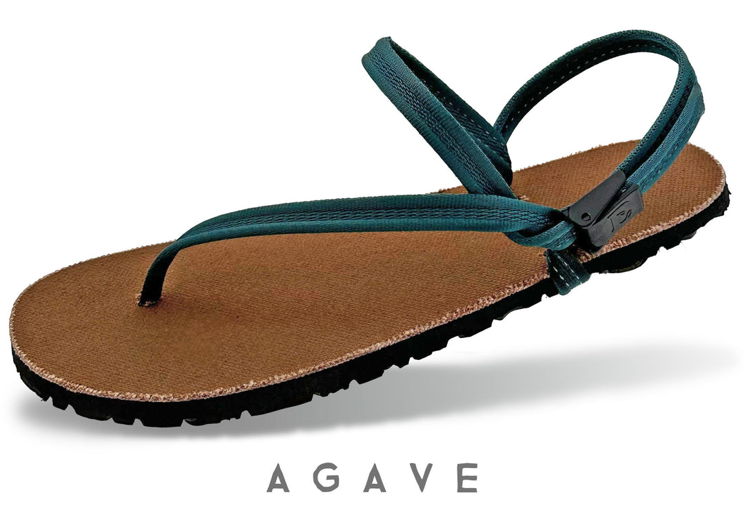 Alpha Lifestyle, Agave | Re-EarthRunners